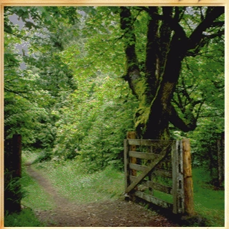 Category:Landmarks | Oregon Trail Wiki | Fandom