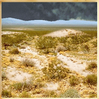 Black Rock Desert | Oregon Trail Wiki | Fandom