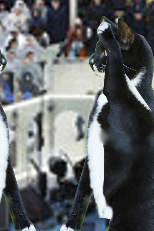 Poka/History | Oreopedia Wiki | Fandom