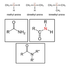 Amines | Organic chemistry nomenclature Wiki | Fandom