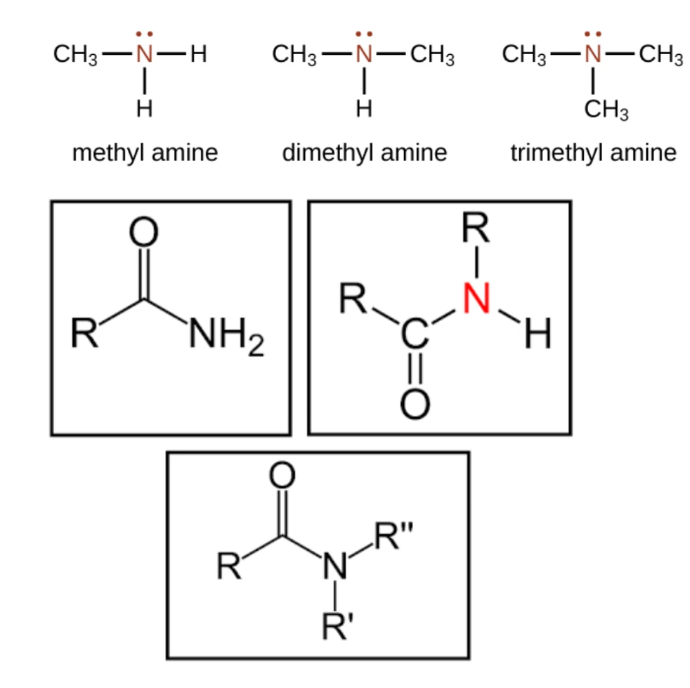 Amines | Organic chemistry nomenclature Wiki | Fandom