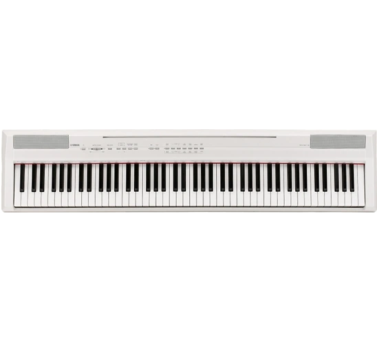 Category:Home Digital Pianos | Organology Wiki | Fandom