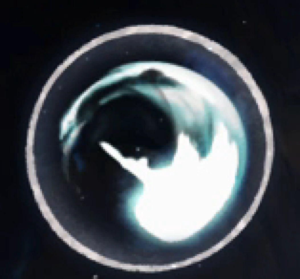 Spirit Smash | Ori and the Blind Forest Wiki | Fandom