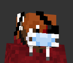 Panda | Origin Community SMP Wiki | Fandom