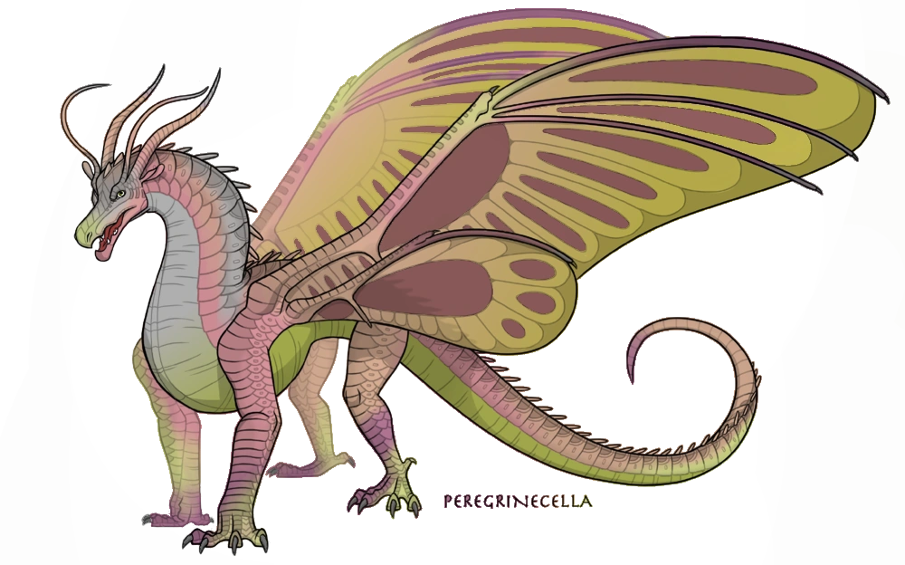 Dawn | Original Character Wiki | Fandom