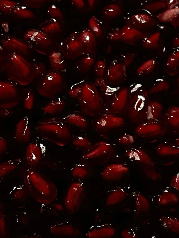 Adonix | Original Characters Wiki | Fandom