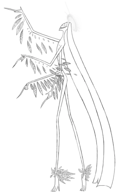 Aengel | Original Characters Wiki | Fandom