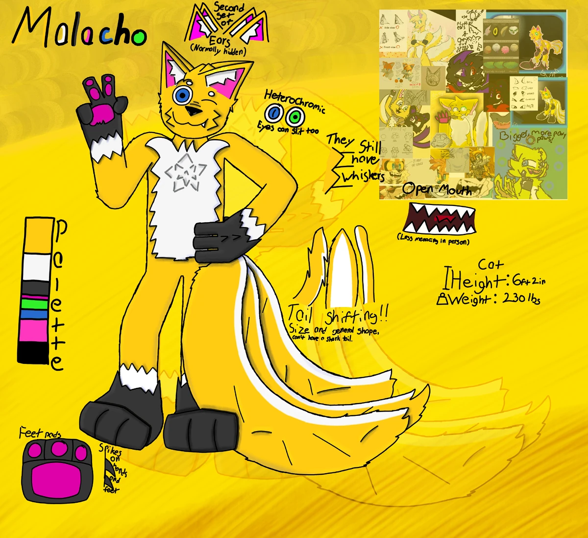 Malacho | Original Characters Wiki | Fandom