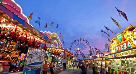 Project Rose | Original Characters Wiki | Fandom