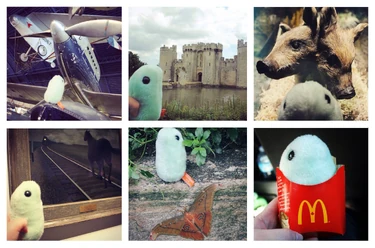 Fluy | Original Characters Universe Wiki | Fandom