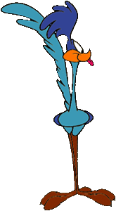 Wile E. Coyote and Road Runner | Looney Tunes Wiki | Fandom