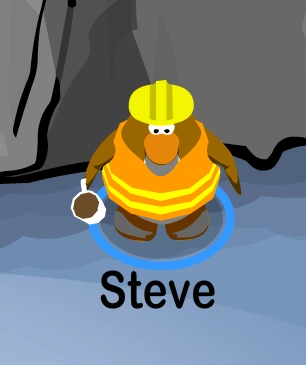 Steve | Original Penguin Wiki | Fandom