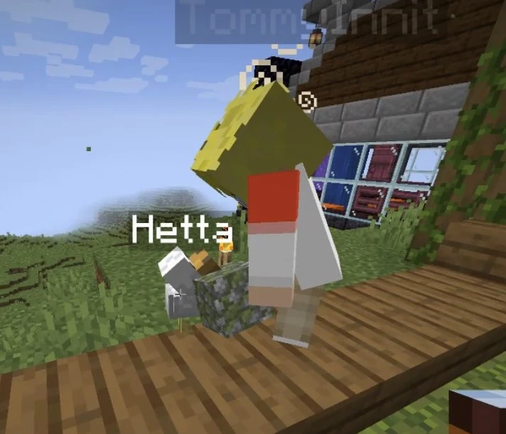 Hetta | Origins SMP Wiki | Fandom