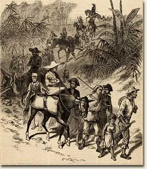 Spanish Rancher | Origins of Empires: Discovering America Wiki | Fandom