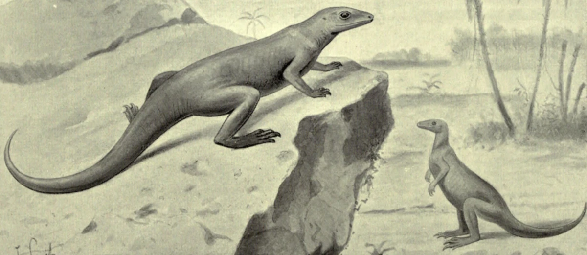 Guinealizard | Orignal Species Database Wiki | Fandom