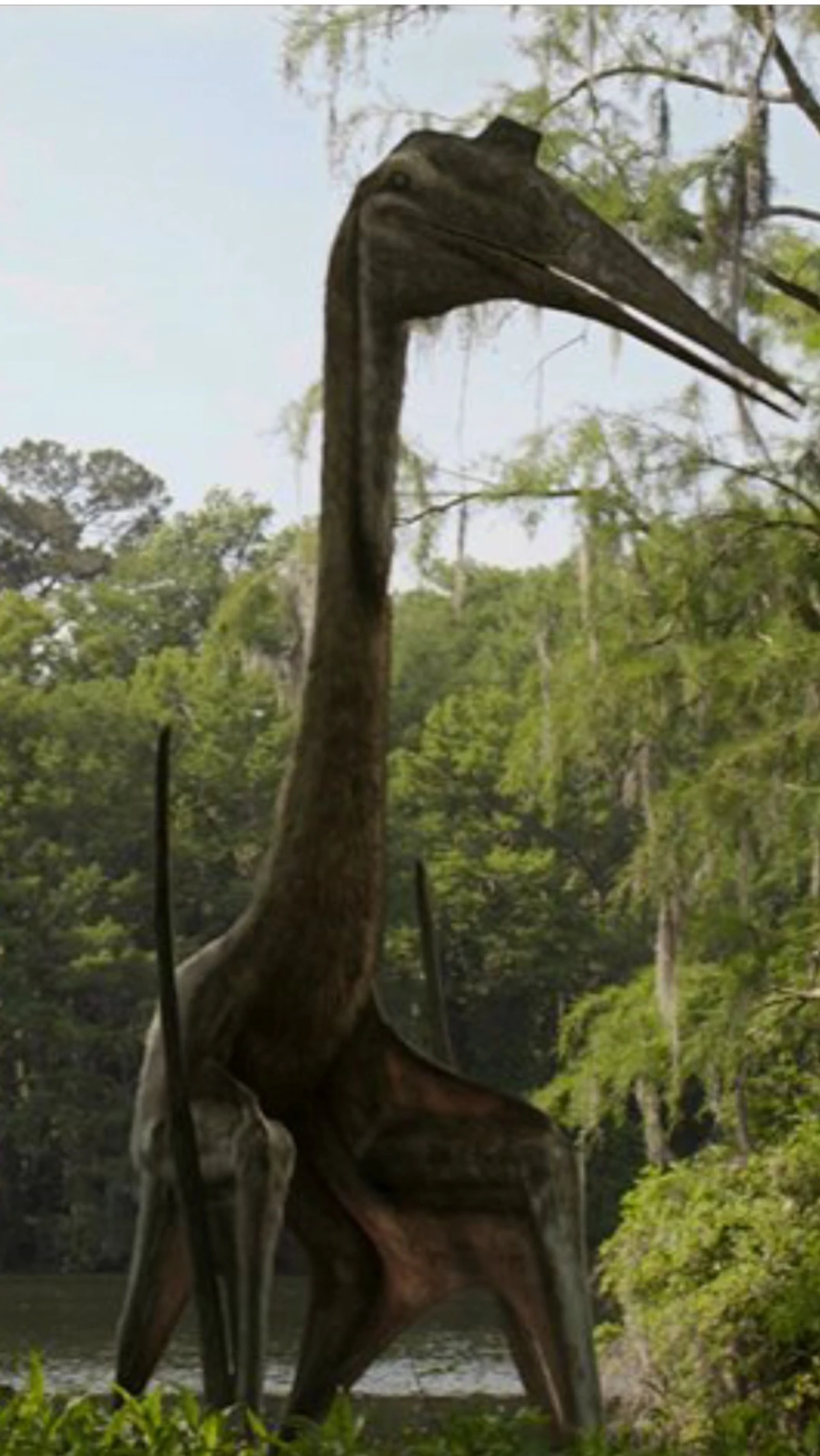 Quetzalcoatlus keyesi | Orignal Species Database Wiki | Fandom