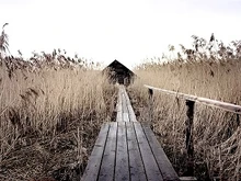 SCP-040-JP | Orokin Stats and Profiles Wiki | Fandom