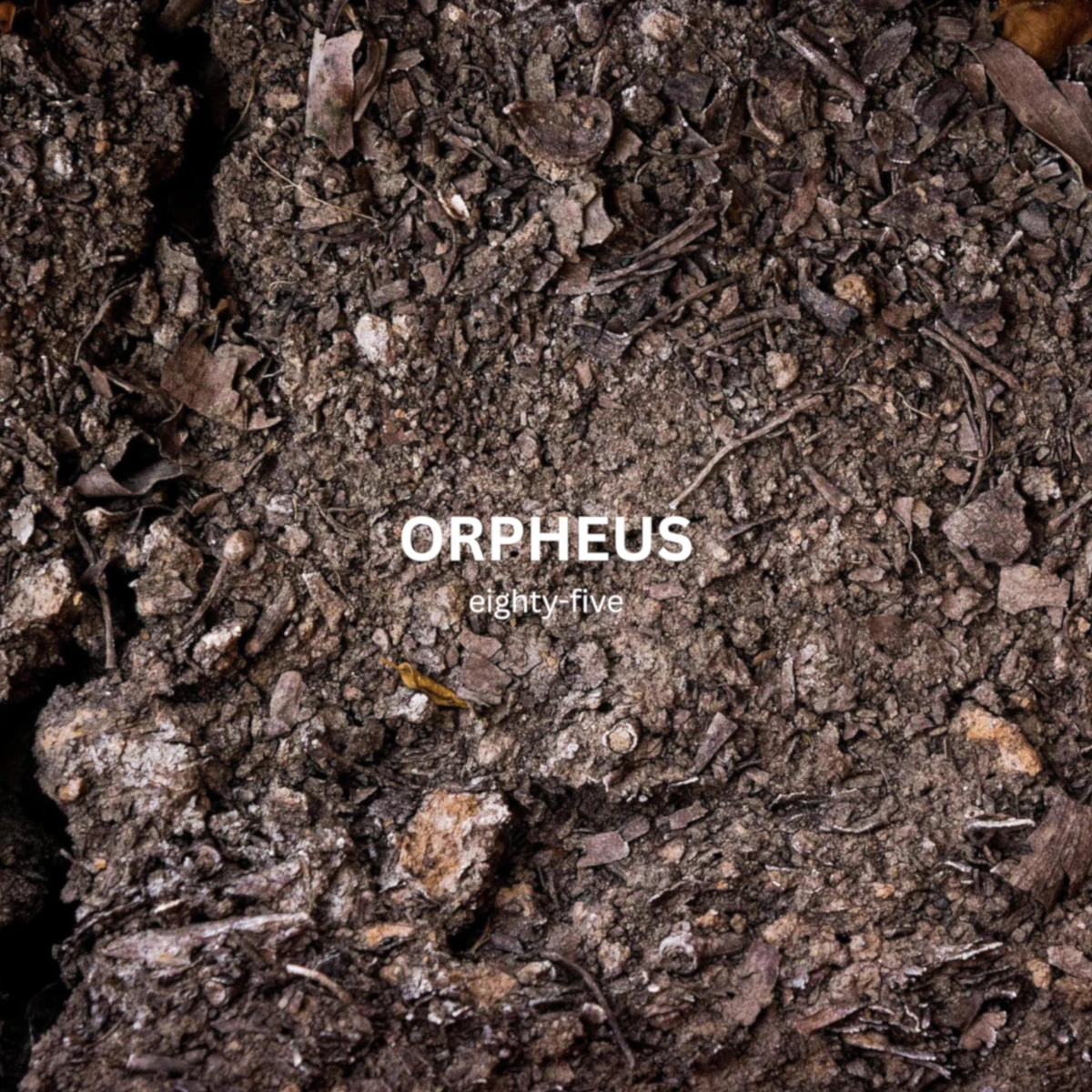 Orpheus Song Contest 85 | Orpheus Song Contest Wiki | Fandom