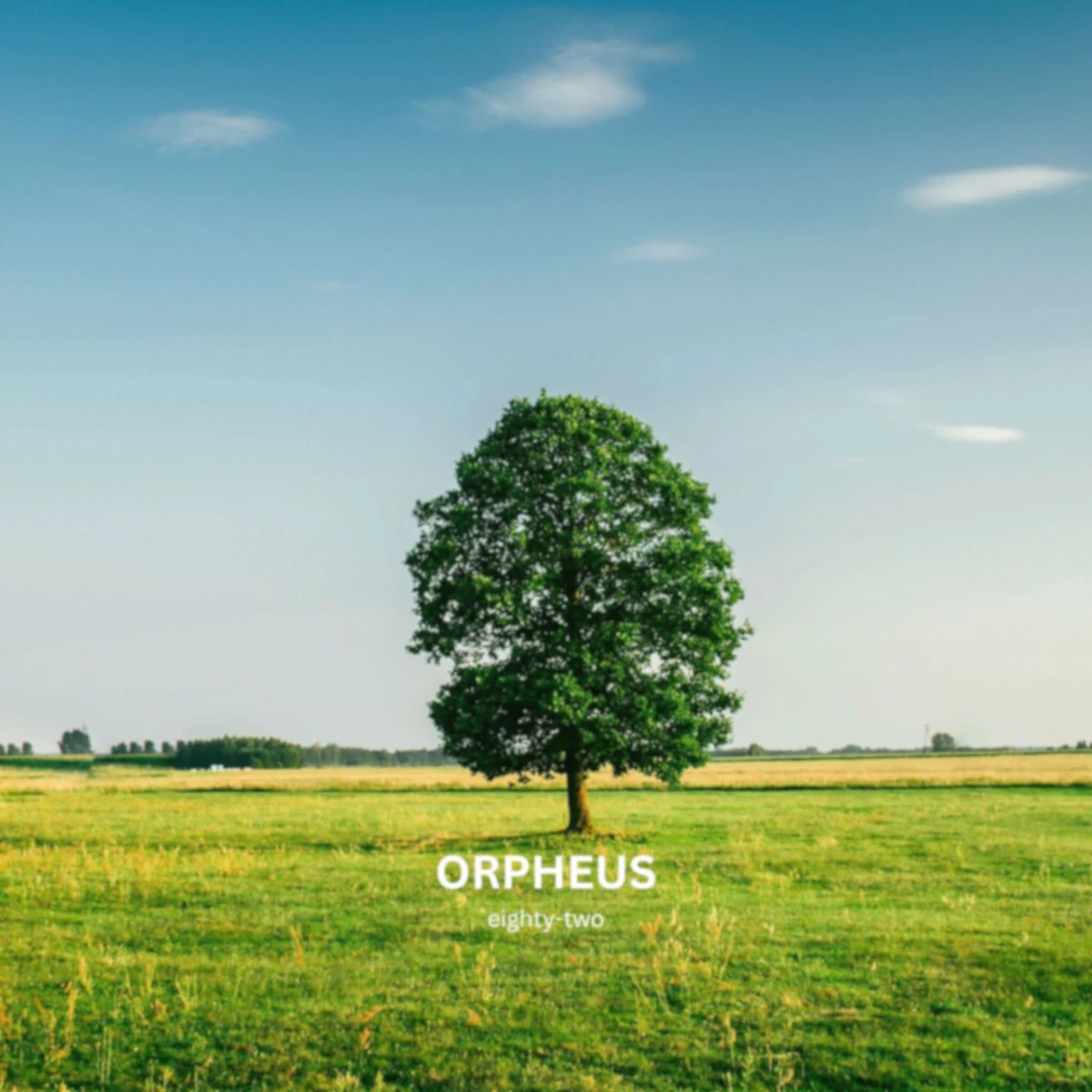 Orpheus Song Contest 82 | Orpheus Song Contest Wiki | Fandom