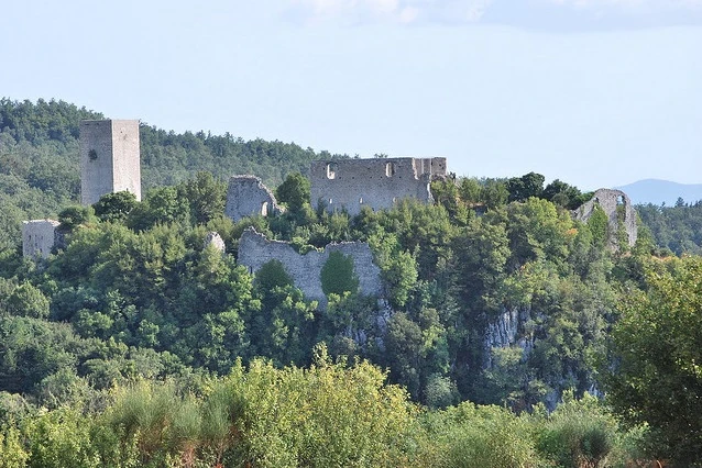 Selvena (localité) | Orvieto database Wiki | Fandom