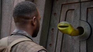 Yaphit | The Orville Wiki | Fandom