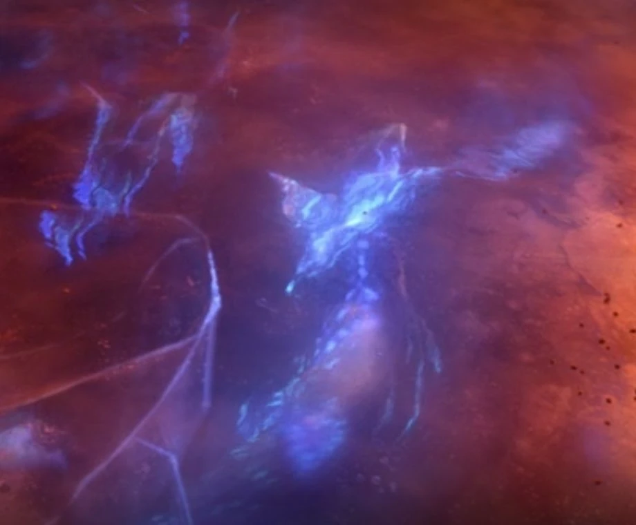 Kamalid | The Orville Wiki | Fandom