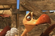 Buck | Oscar's Oasis Wiki | Fandom