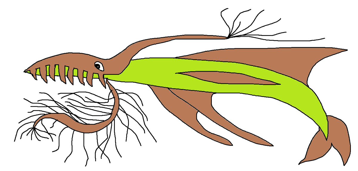 Bearded sharktooth | Oscar's Spec Evo Wiki | Fandom