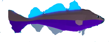 Rainbow Cod | Oscar's Spec Evo Wiki | Fandom