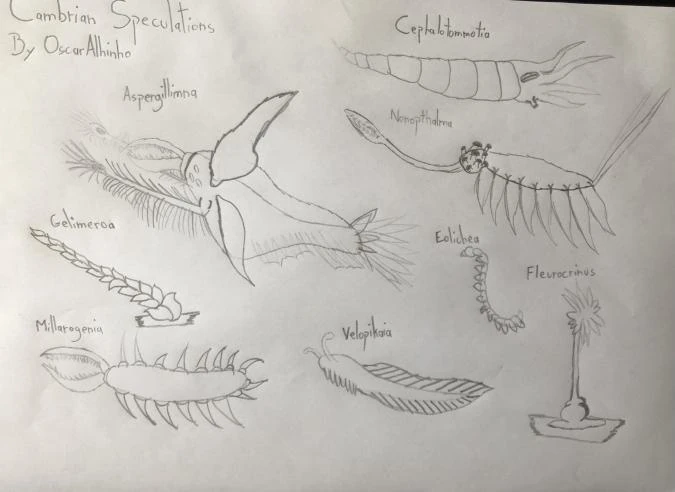 Organisms of the Phosphatia Deepwater Ocean Beds | Oscar's Spec Evo ...