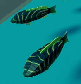 Grass grouper | Oscar's Spec Evo Wiki | Fandom