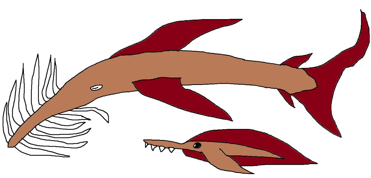 Soilfish | Oscar's Spec Evo Wiki | Fandom