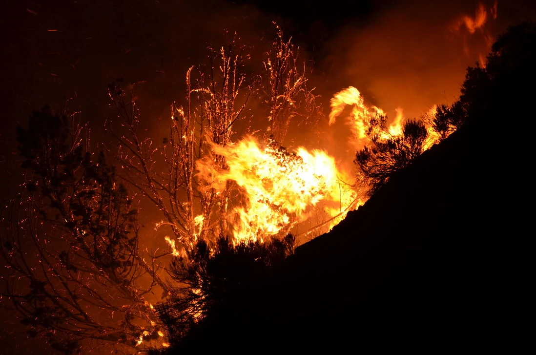 Field of Fire | Oseapedia Wiki | Fandom