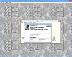Windows:3.11:002 | Operating System Beta, etc. Wiki | Fandom