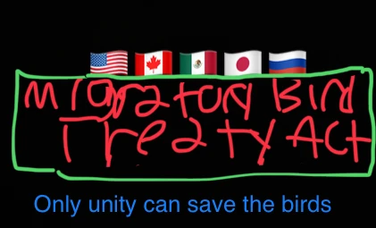 Migratory Bird Treaty Act | OSISCV Continuation Wiki | Fandom