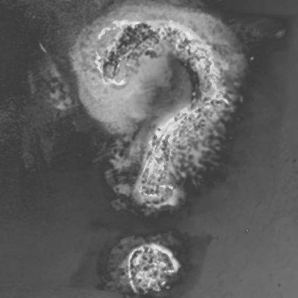 Question Mark Island | Apocrypha Wiki | Fandom