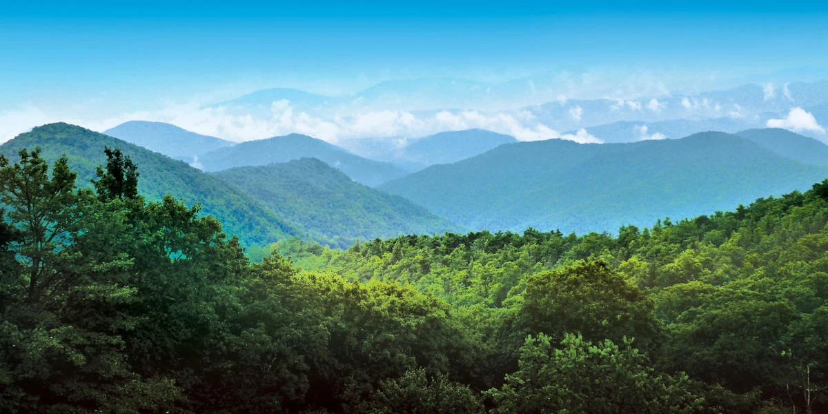 Laselkeh | Ostania Wiki | Fandom