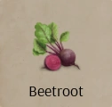 Beetroot | Ostriv Wiki | Fandom