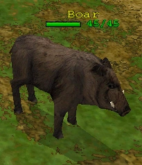 Boar | Other-Life Wiki | Fandom