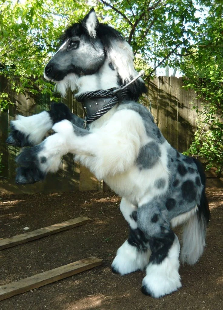 Other Paw | Otherkin Wiki | Fandom