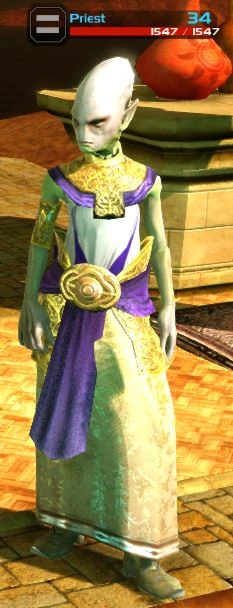 Priest | Otherland MMO Wikia | Fandom