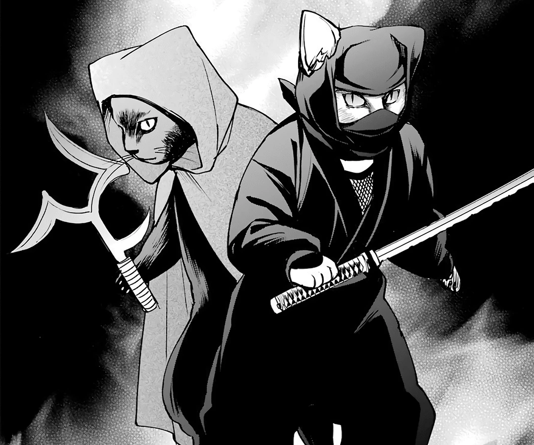 Anime Ninja Cats