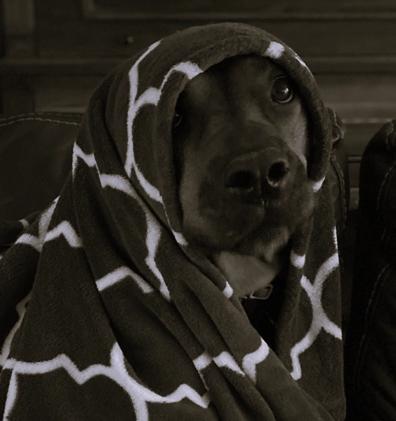 Otis Al-Duce | Otiseng Wiki | Fandom