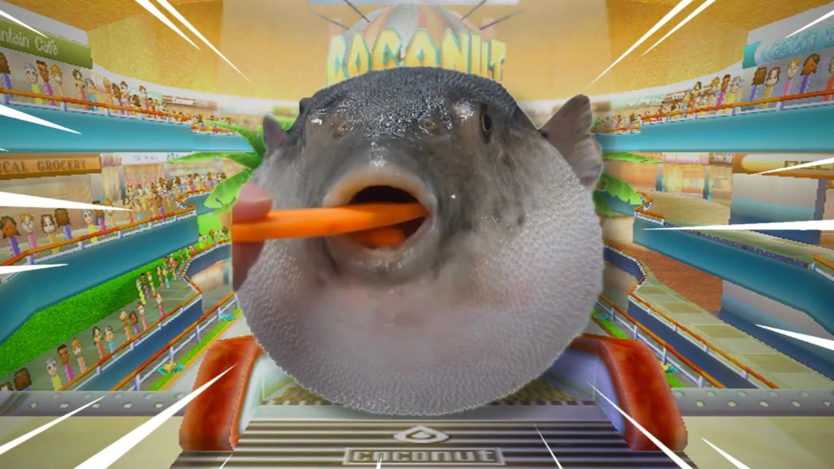 Pufferfish Carrot Mall(KQXHdxGb328) | 音MAD Wiki | Fandom