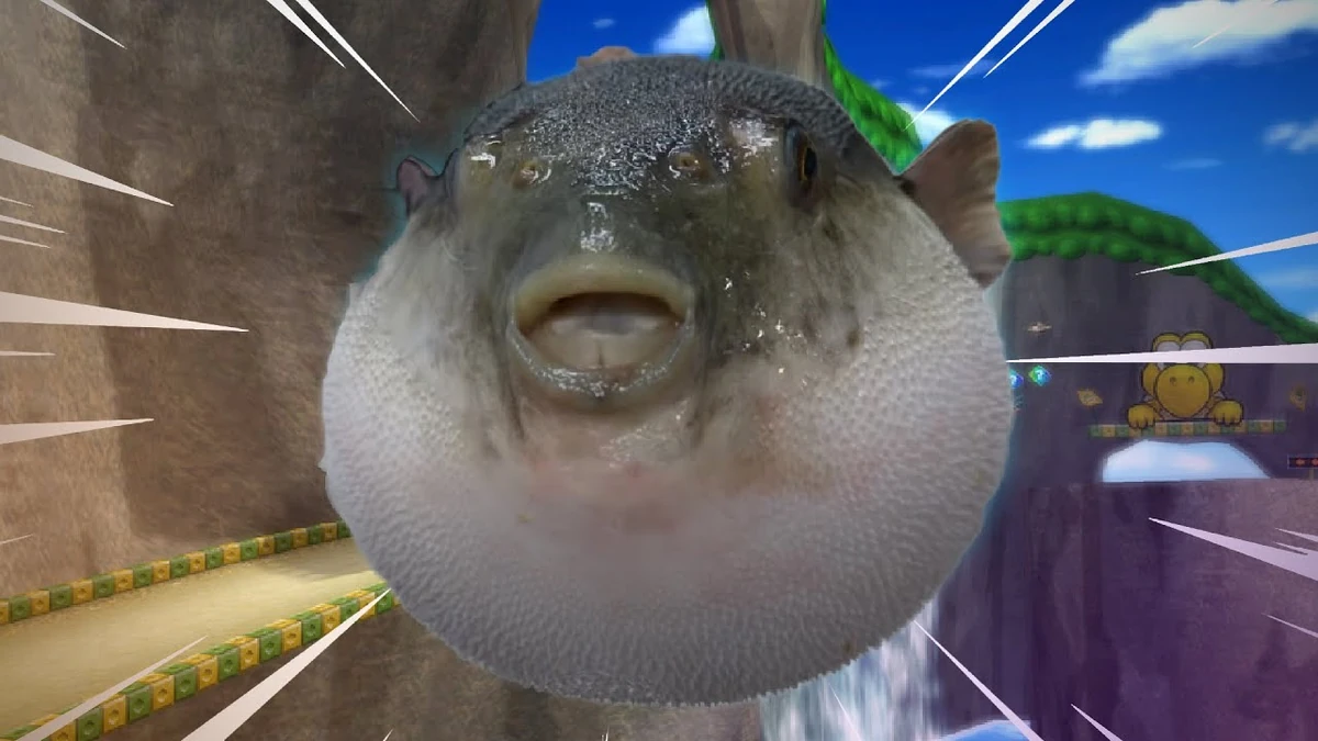 Pufferfish Carrot Koopa Cape(frv2s1kUH4w) | 音MAD Wiki | Fandom