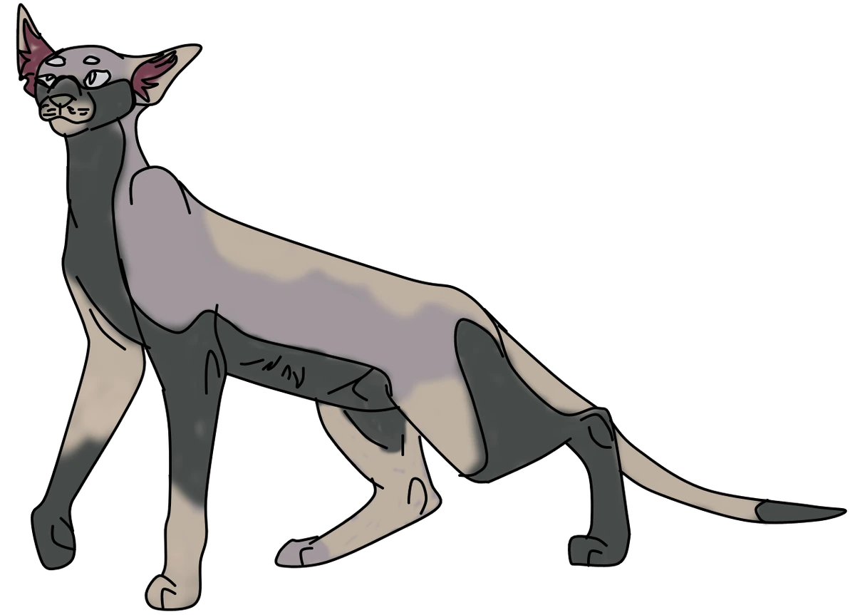 Category:Animals | Otter-pop! Wiki | Fandom