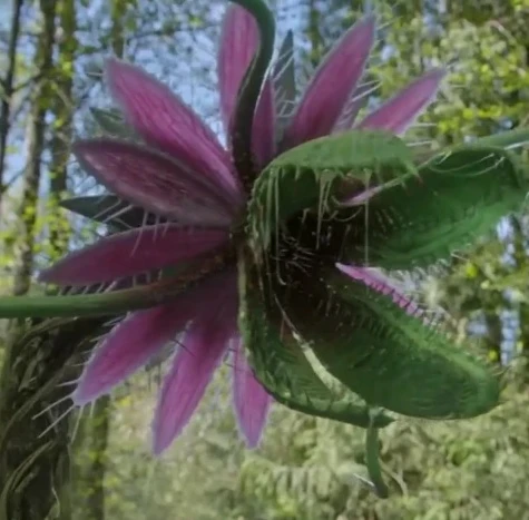 Triffid | Once Upon a Time Wiki | Fandom