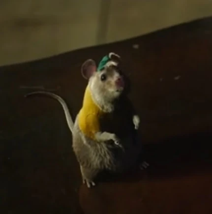 Gus/Gallery | Once Upon a Time Wiki | Fandom