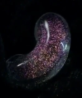 Category:Magical Items | Once Upon a Time Wiki | Fandom