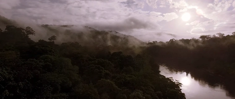 Endless Forest | Once Upon a Time Fanon Wikia | Fandom